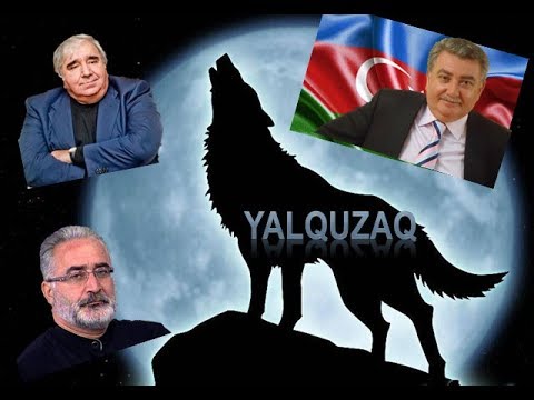 Şahin Musaoğlu — Yalquzaq | Yeni versiya