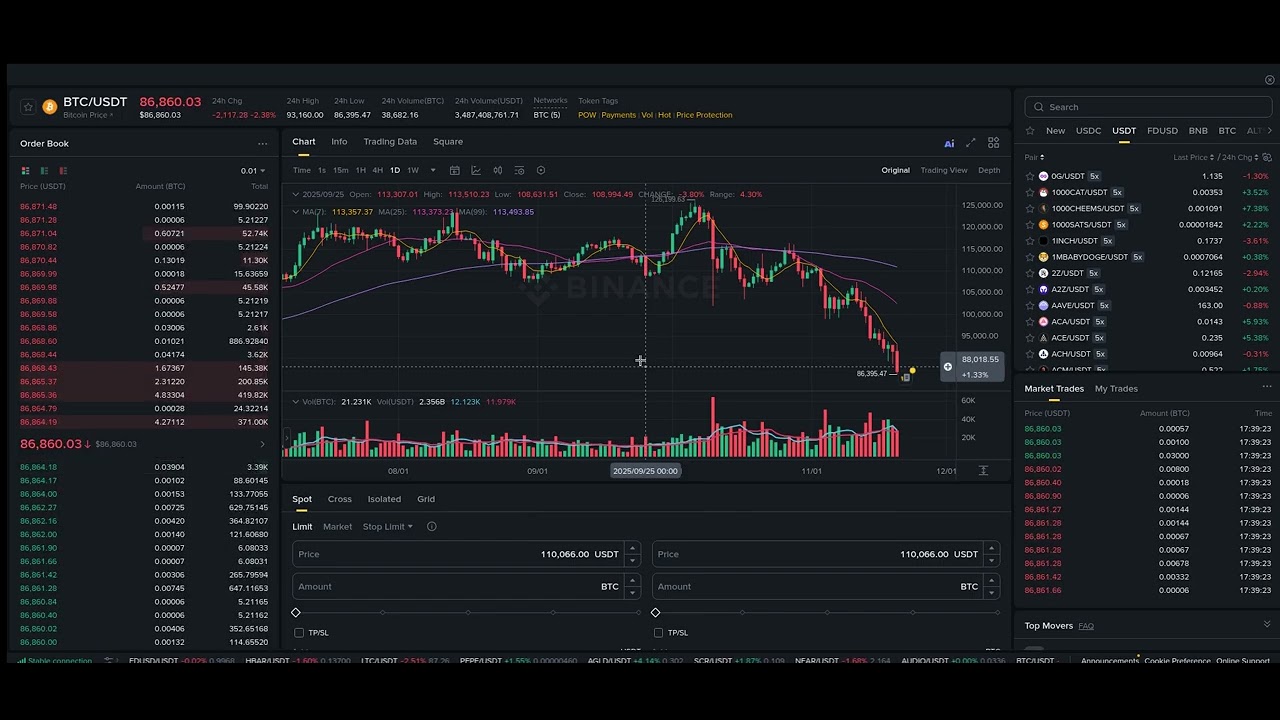 LIVE BTC/USDT CHART: Real-Time Bitcoin Price Tracker (Current Market ...