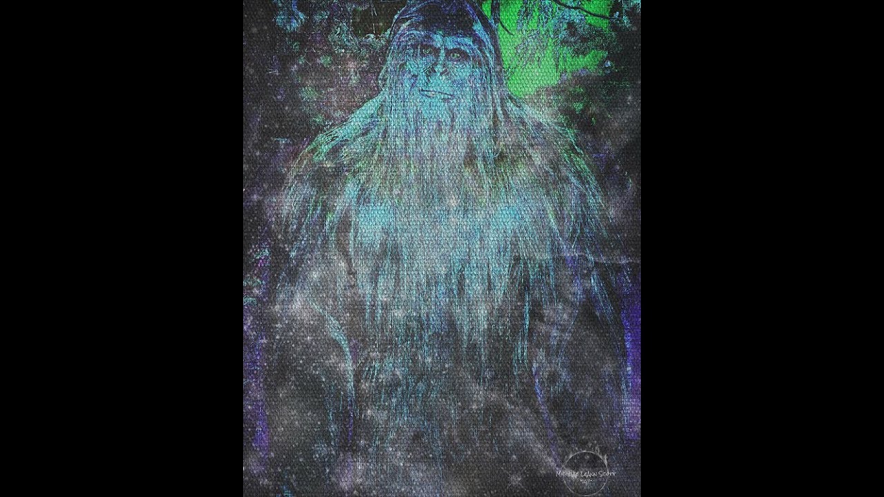 Unseen Predator in the Woods. What was stalking me? Newmilns - YouTube