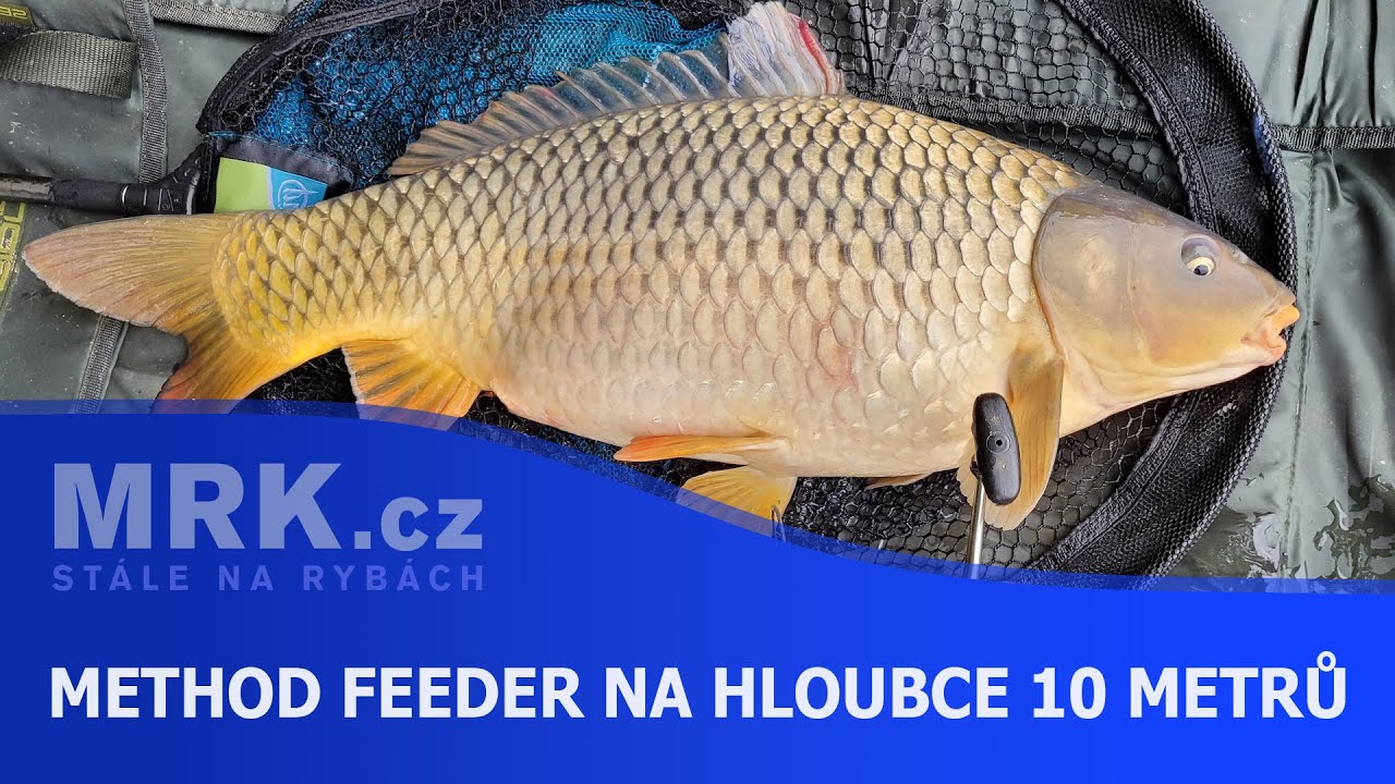 Methodfeeder na hloubce 10 metrů - jak na kapry mezi mnoha cejny - YouTube