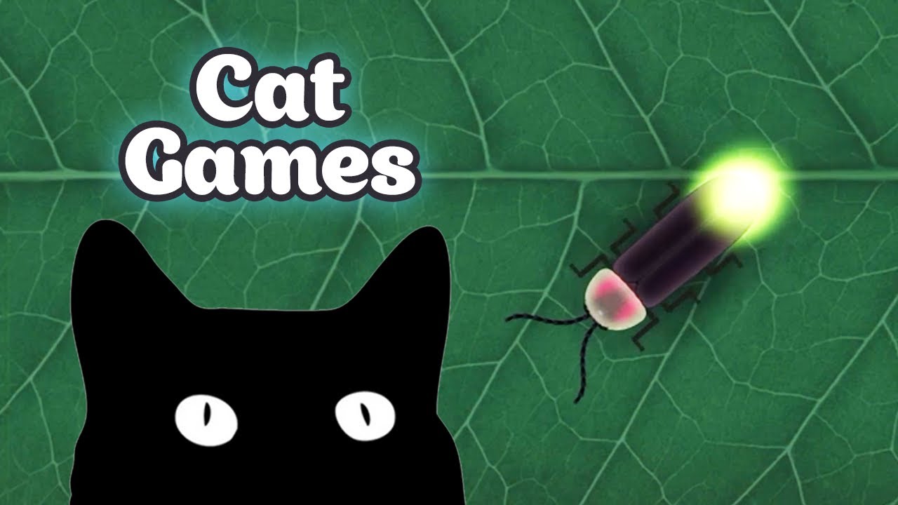 🐈 Cat Games on screen with Firefly Insect 🐈 Videos for cats, Cat ...