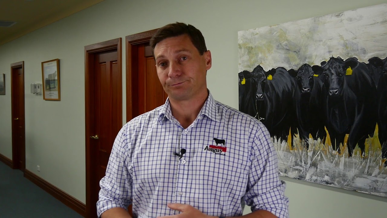 Angus CONNECT - Autumn 2020 - Genomic Opportunities for Commercial ...