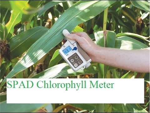 SPAD Chlorophyll Meter - SCMR Chlorophyll measurement using SPAD - YouTube