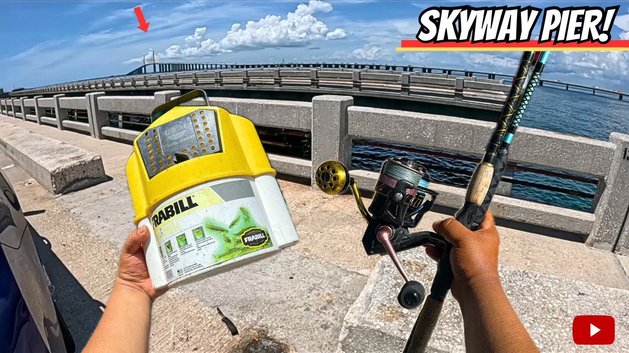 EASY way to CATCH DINNER at the SKYWAY PIER! *Florida Saltwater Fishing ...