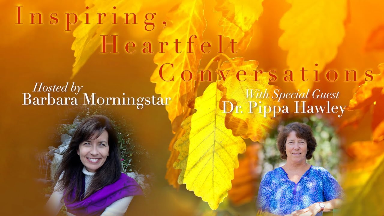 Understanding the Broad Scope of Palliative Care with Dr. Pippa Hawley ...