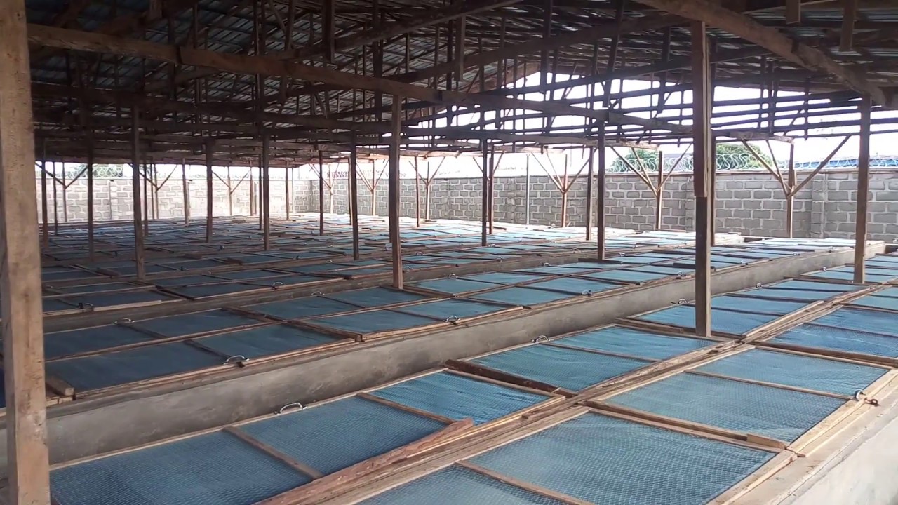 Modern snail farm construction - YouTube