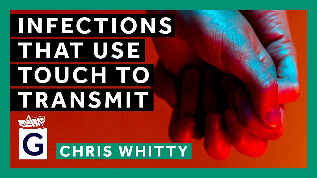 Infections That Use Touch To Transmit - YouTube