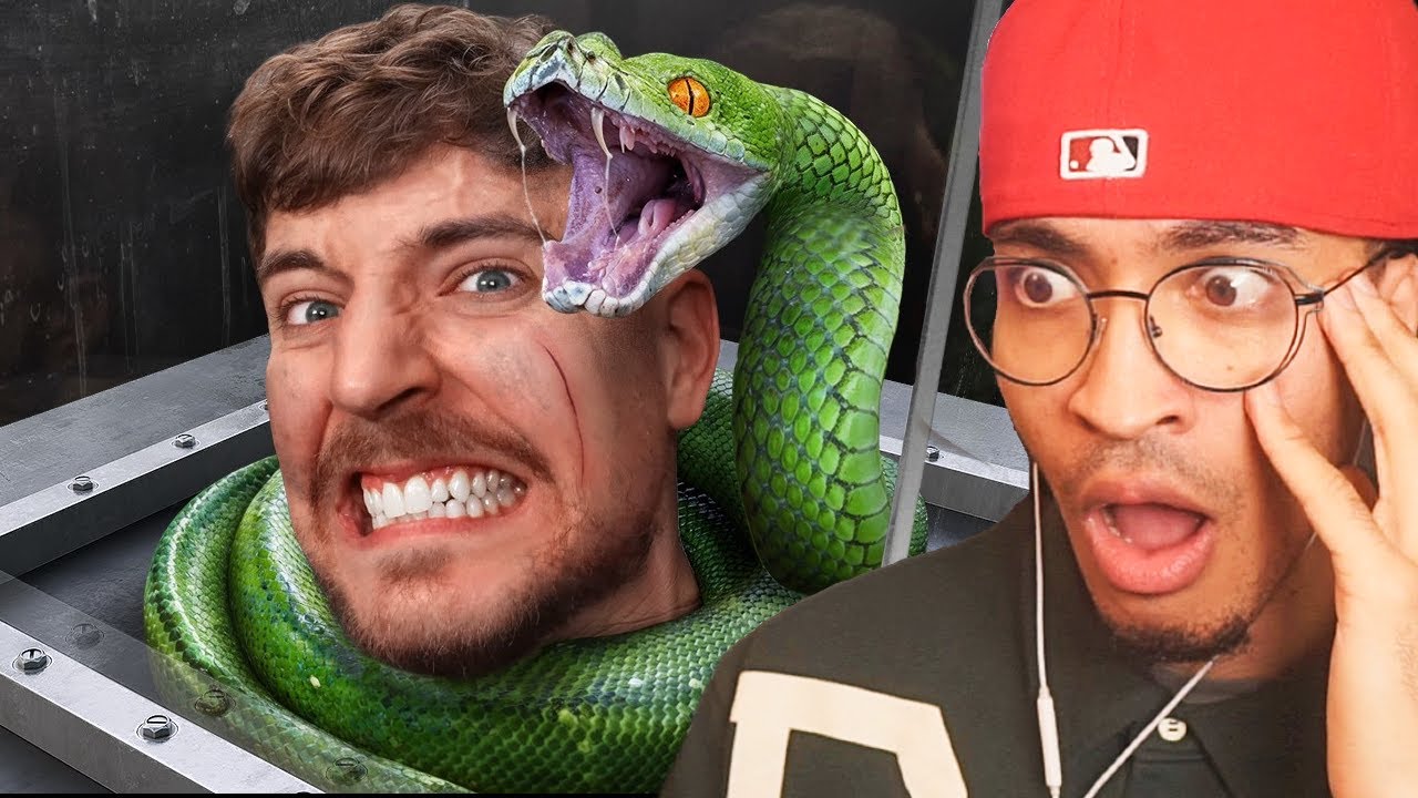 Reacting To Mr Beast "Face Your Biggest Fear To Win $800,000" - YouTube