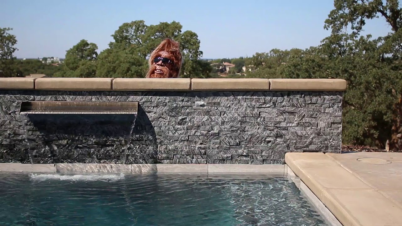 Peek A Boo Squatch - YouTube