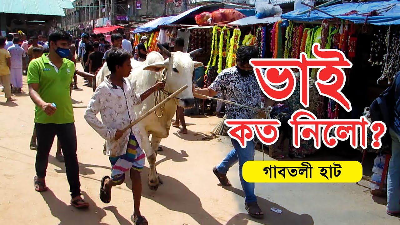 Bhai Koto Nilo | Gabtoli Cattle Market | Big Qurbani Cow Price In ...
