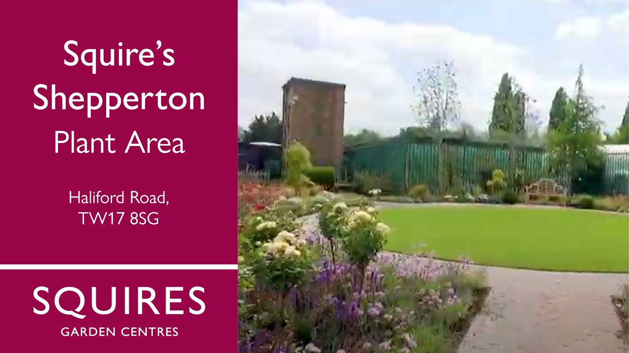 Squire’s of Shepperton - YouTube