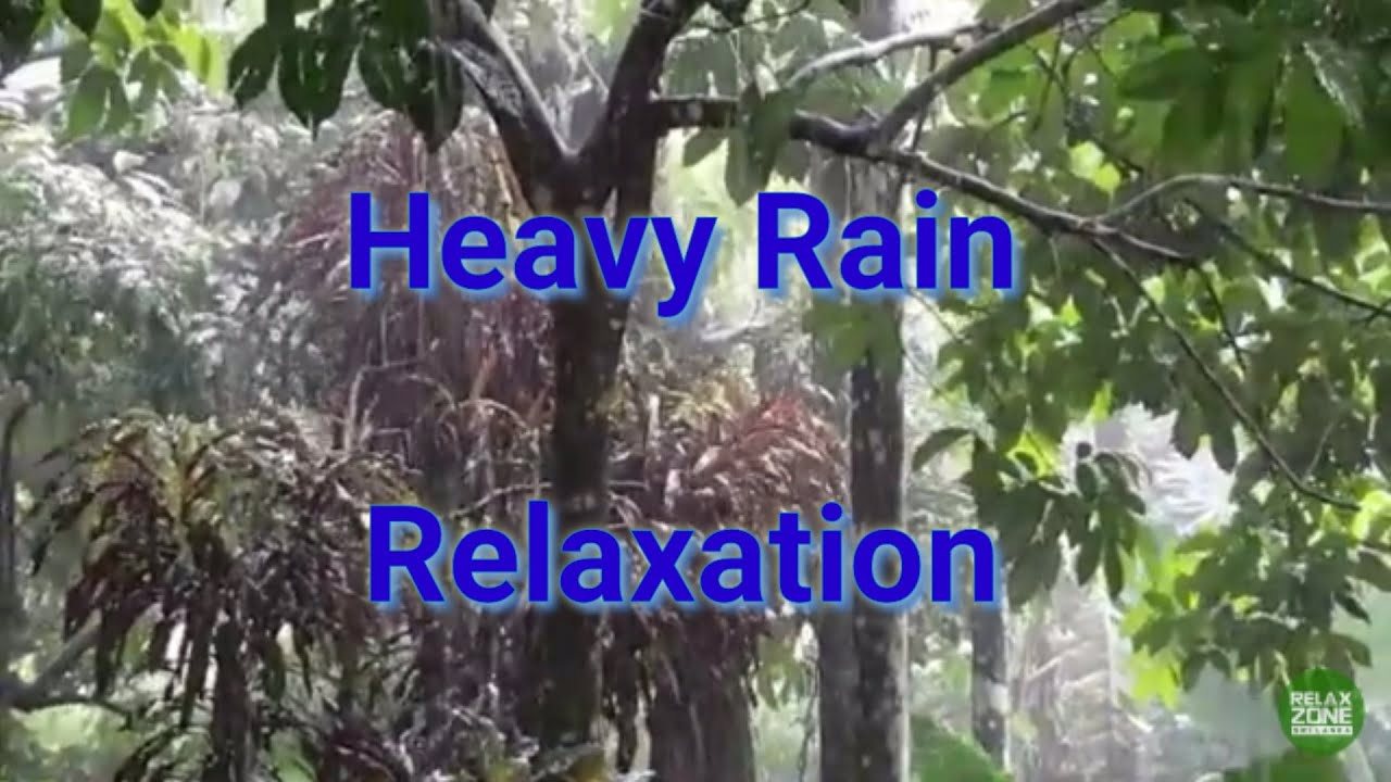 Rain Video, Heavy Rain Relaxation Video, 5 Minutes Rain Sounds ...