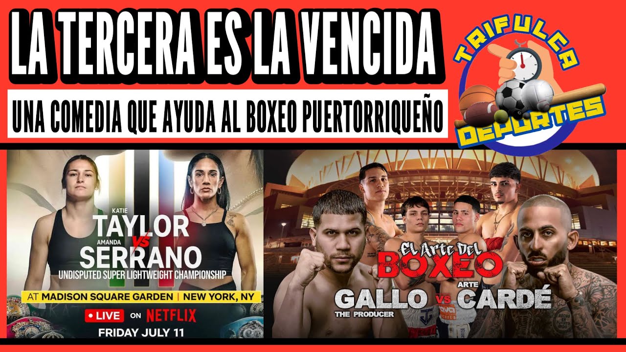 Amanda Serrano Buscará La Victoria Ante Katie Taylor / Gallo The ...