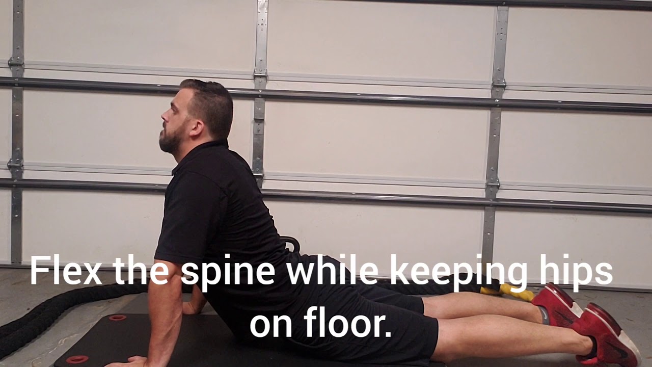 Cobra stretch - YouTube