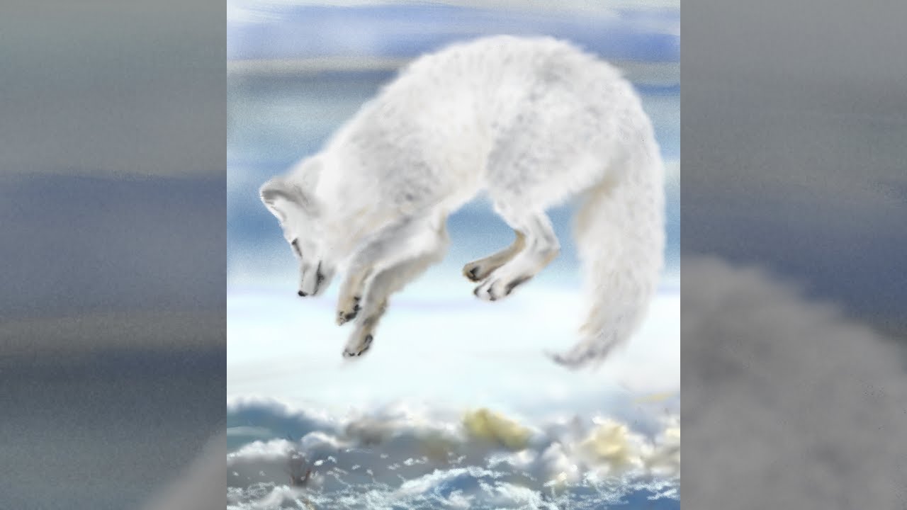 How to draw Arctic Fox - YouTube