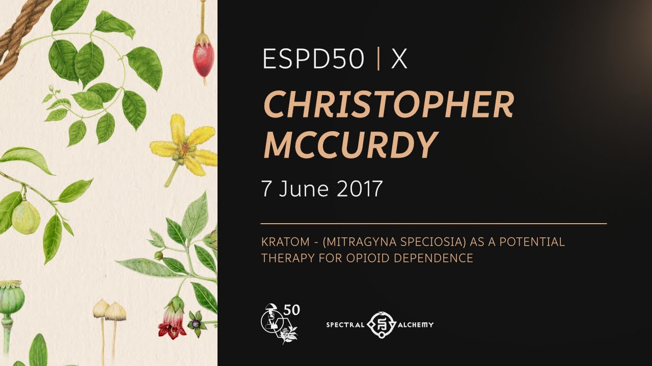 Christopher McCurdy: Kratom (Mitragyna speciosa) as a potential therapy ...