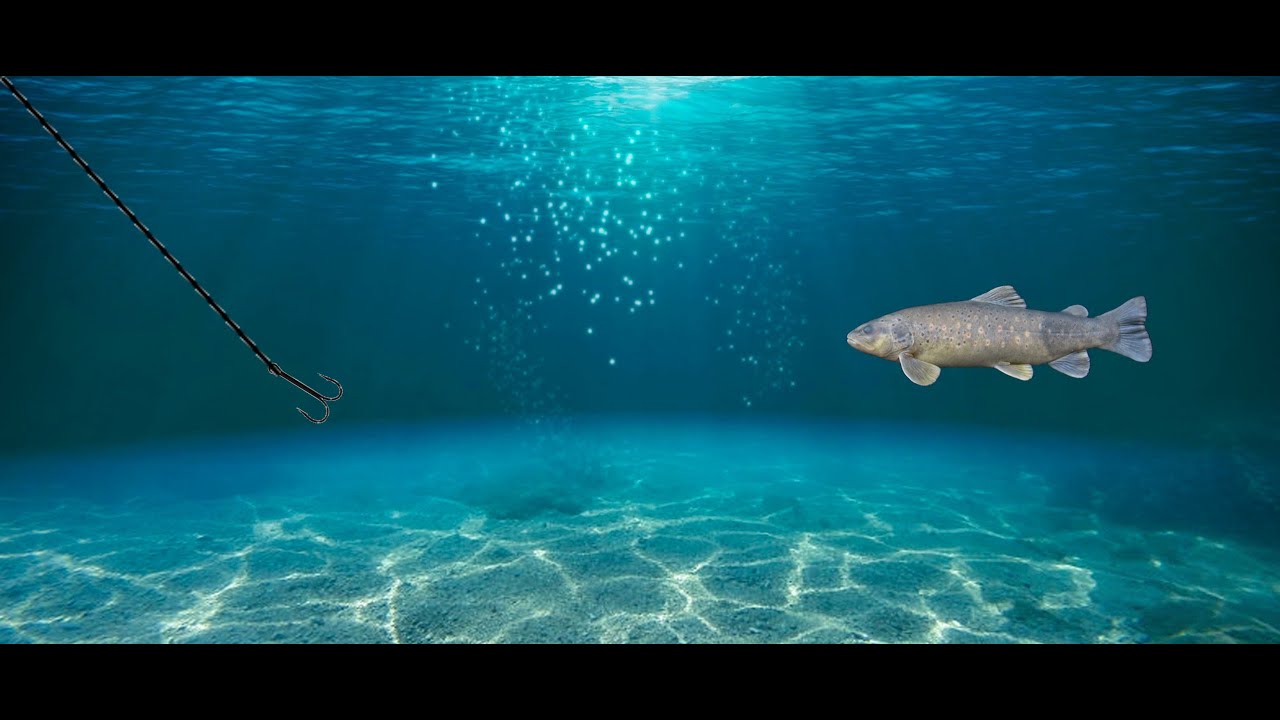 Päev teiste kalameeste jälgedes - YouTube