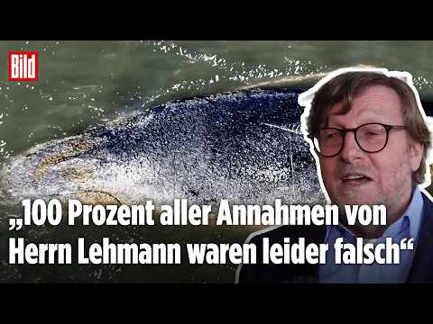 Ostsee-Walrettung: Bürgermeister des Timmendorfer Strands kritisiert Robert Marc Lehmann
