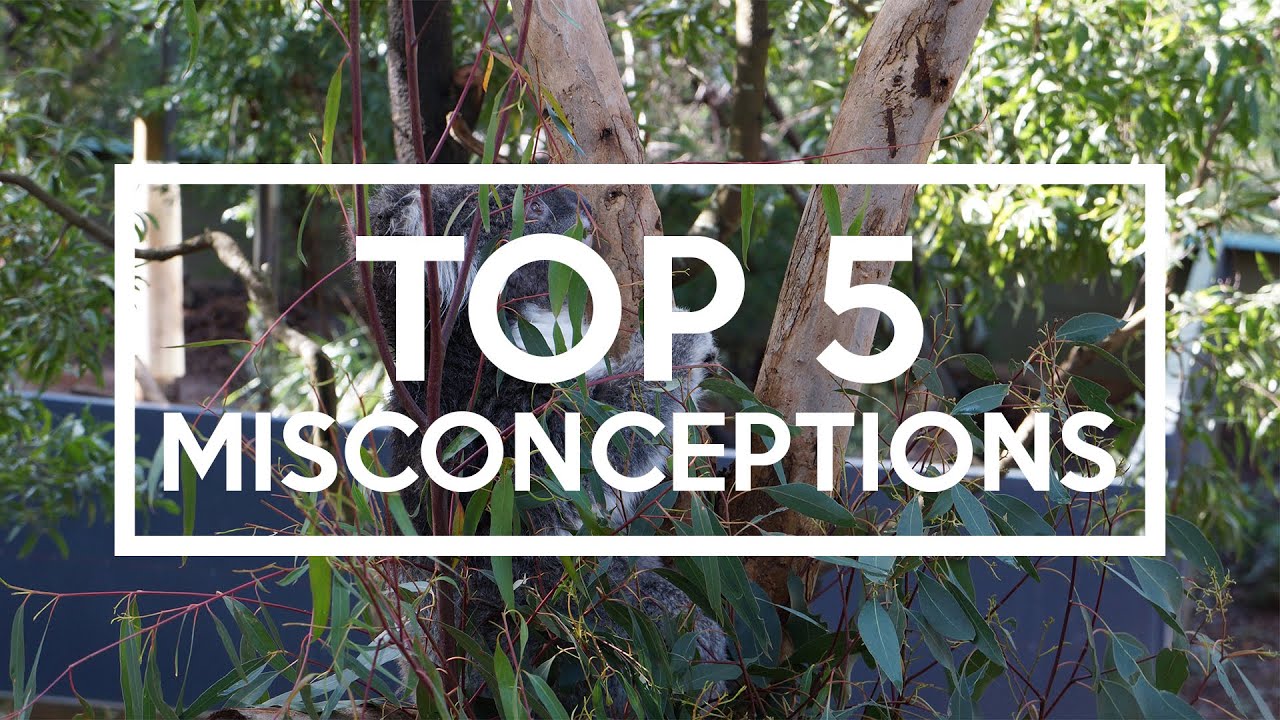 Australia: 5 Misconceptions - YouTube