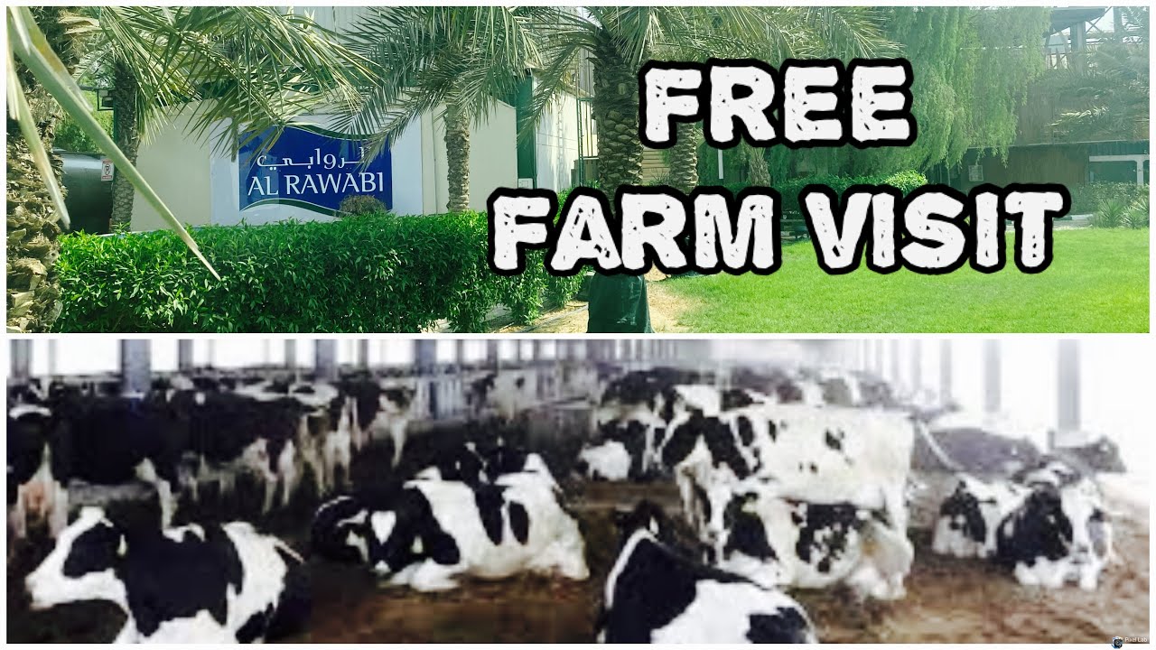 Al Rawabi Farm/Farm tour /Al Khawanej farm/Farm tour in Tamil/Al Rawabi ...