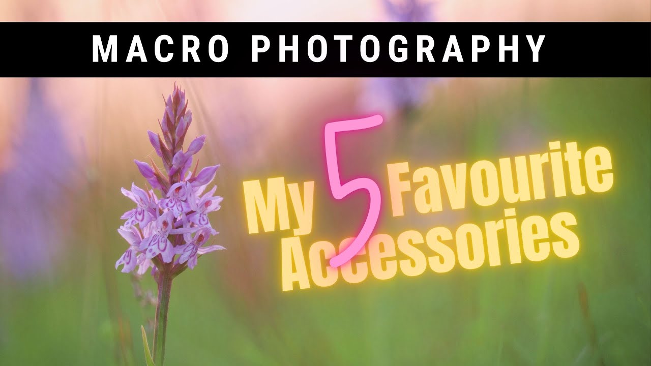 My Five Favourite Macro Accessories - YouTube
