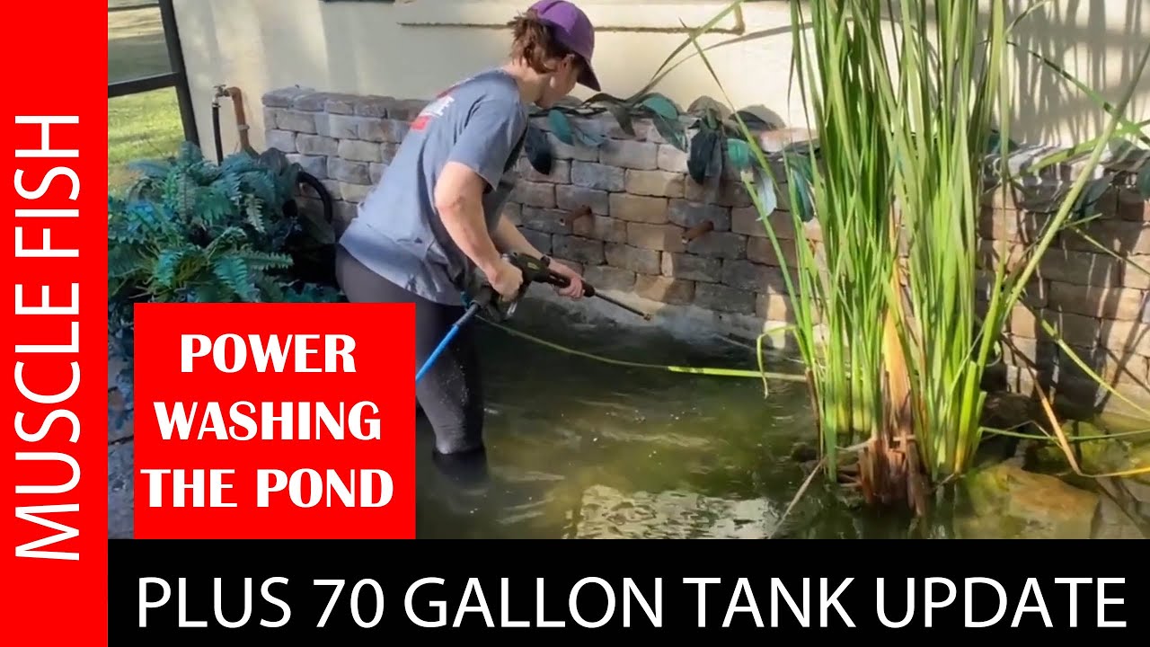 POWER WASHING MONSTER POND! - YouTube