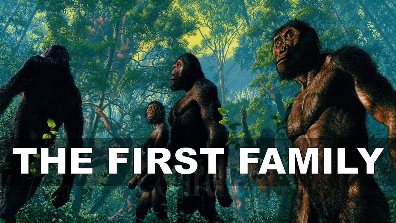 The First Ancient Human Ancestor Family - YouTube