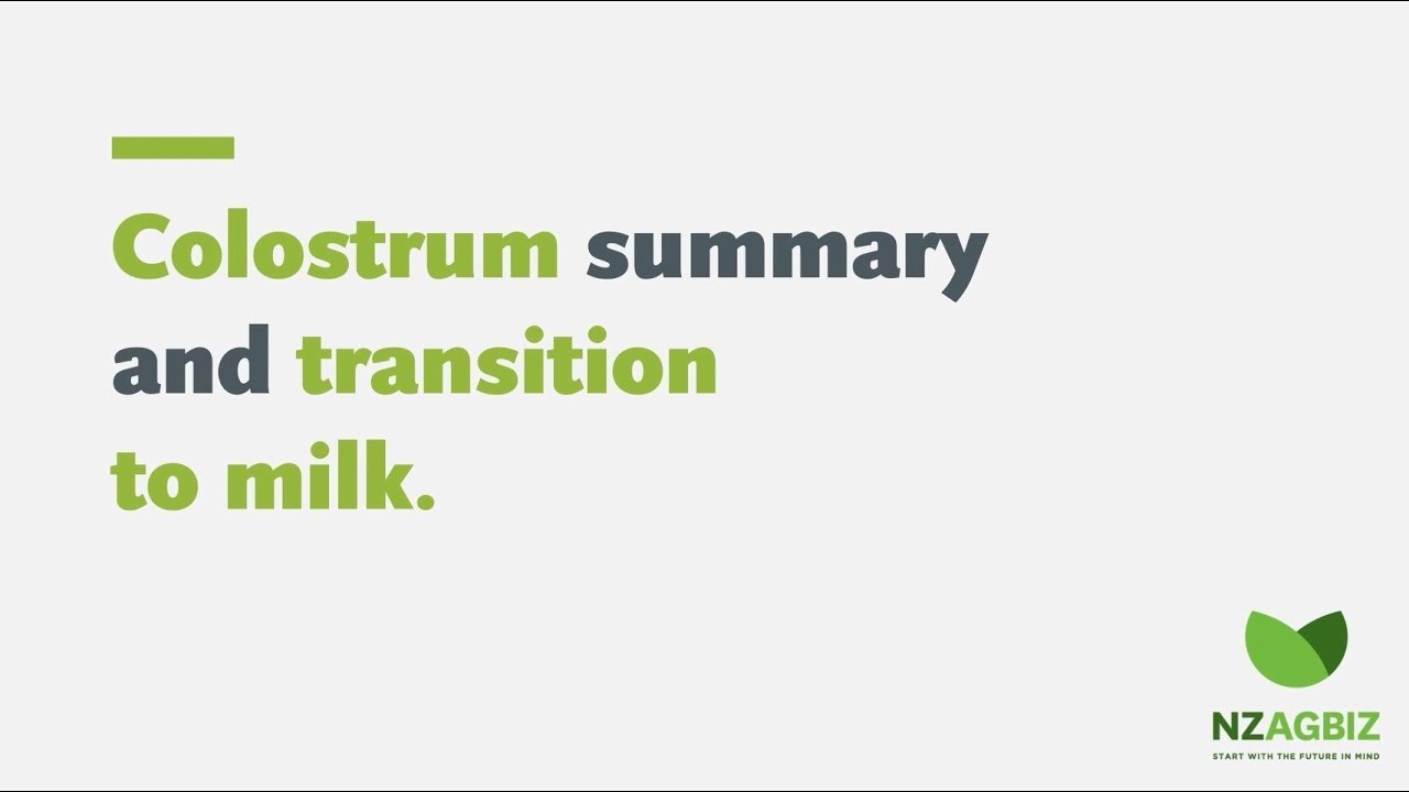 Colostrum summary and transition milk - YouTube