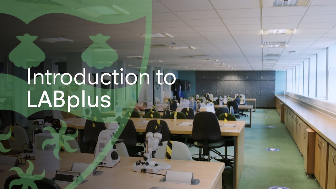 Introduction to LABplus | University of Plymouth - YouTube