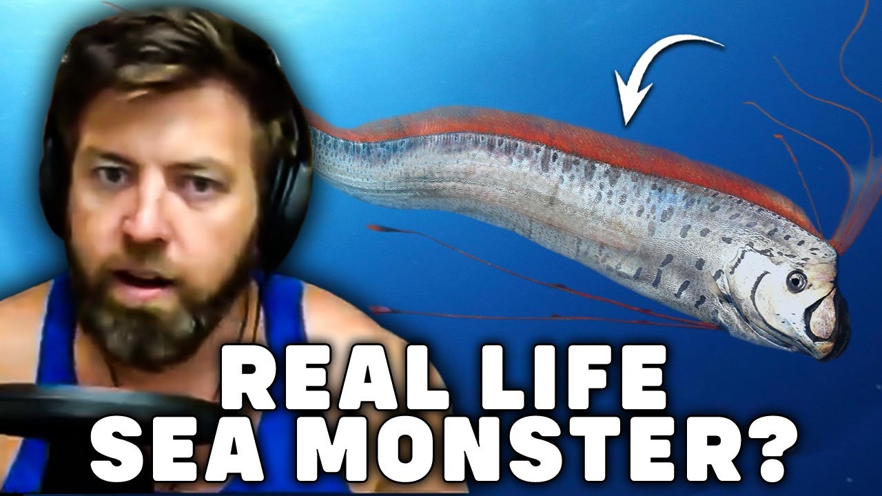 "Sea Monster" Kills 4 Teenagers in Gulf of Mexico - YouTube