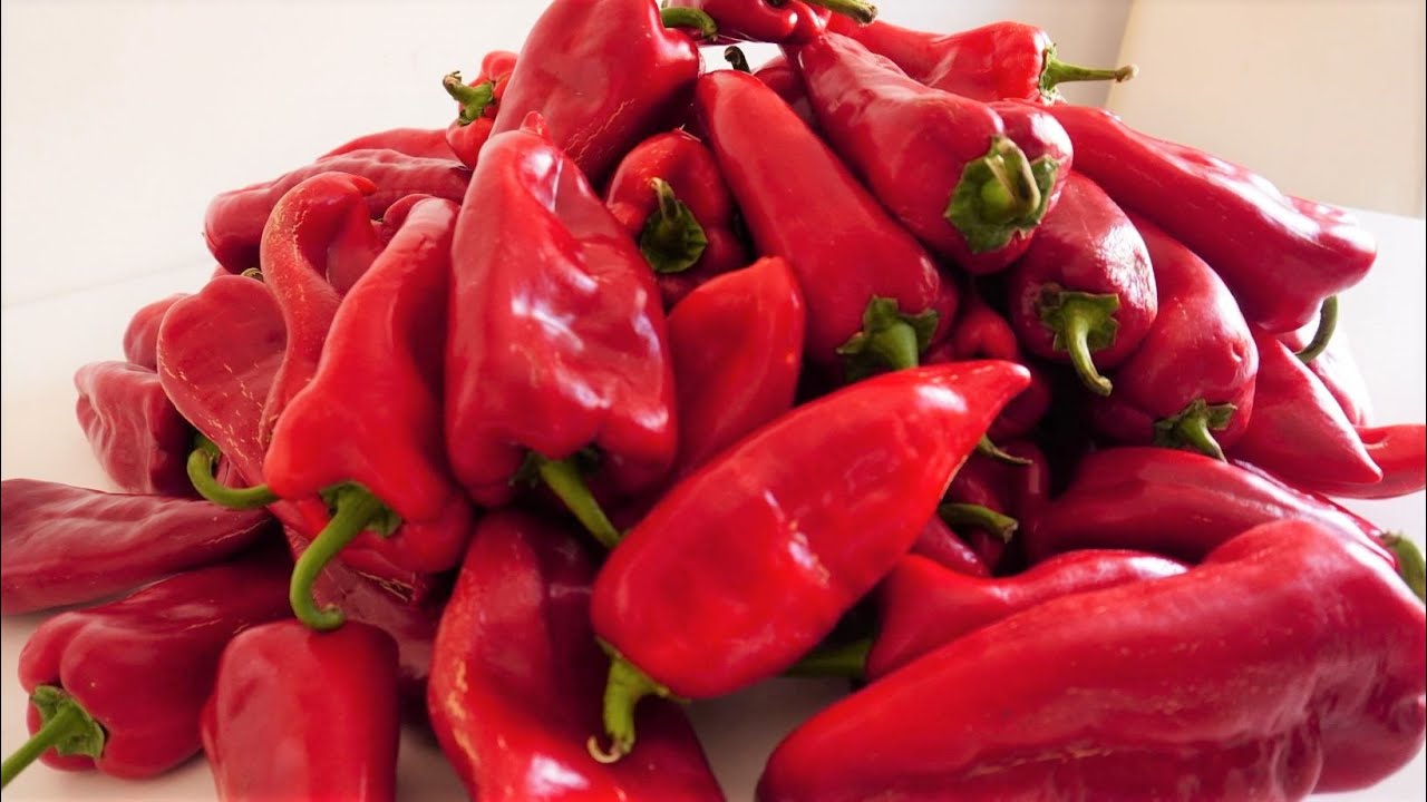 KIRMIZI KAPYA BİBER İLE YAPTIĞIM EN KOLAY KIŞLIK TARİF💯 KÖZ KAPYA BİBER ...