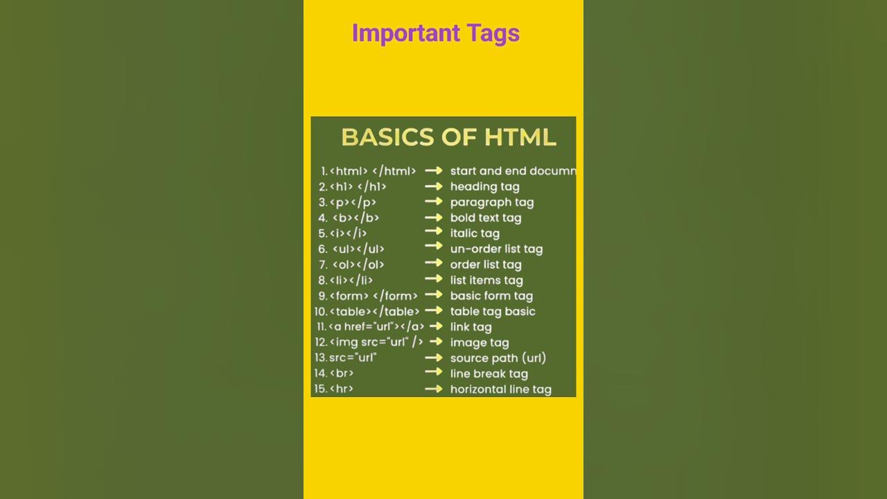 HTML basics for beginners | What is html #htmlcss #coding #html #html5 #coding #webdevelopment ...