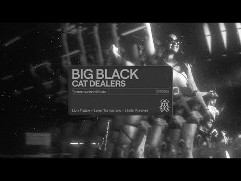 Cat Dealers, FAIOLLI - Big Black (feat. David LeSal) (Official Audio)