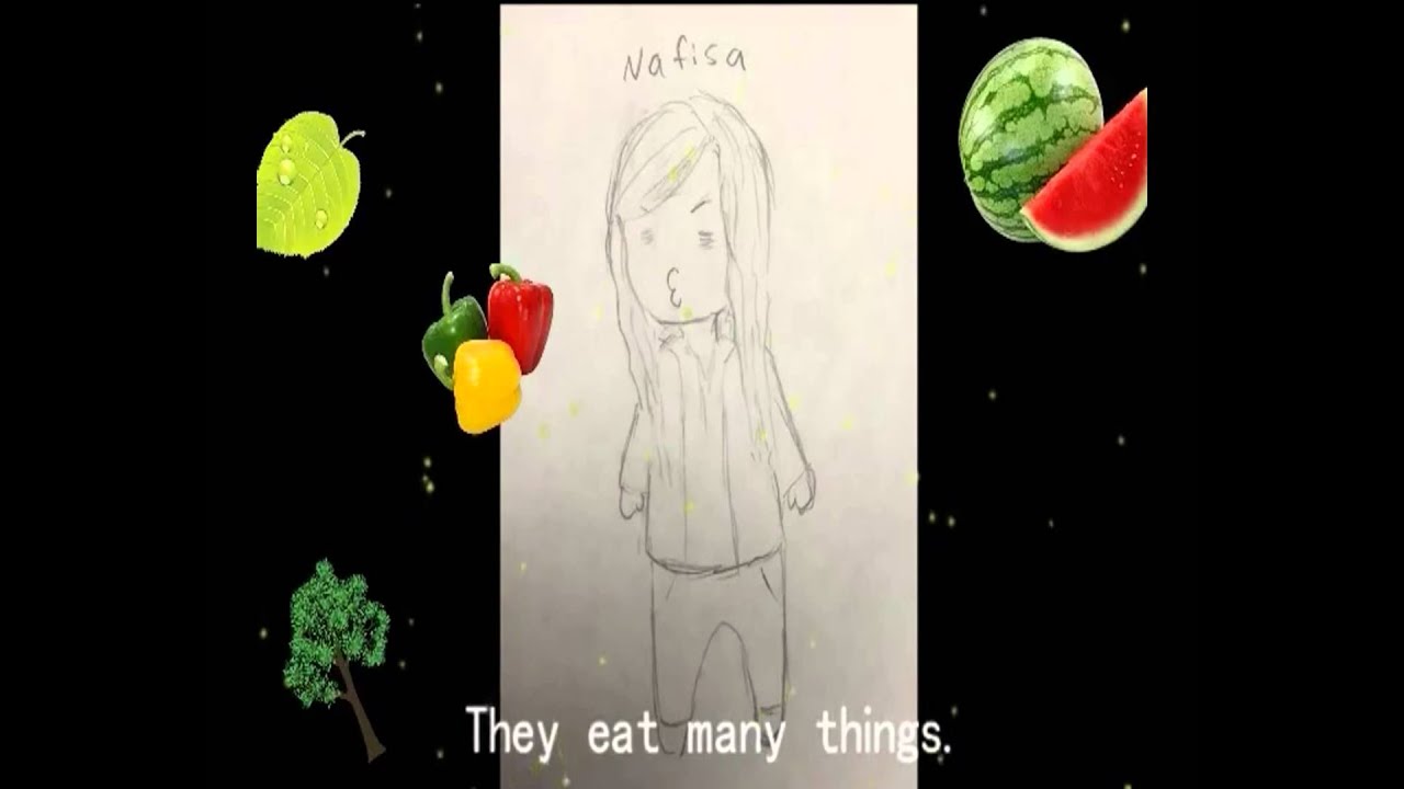 Invasive Species Film Festival 2015 16 - YouTube