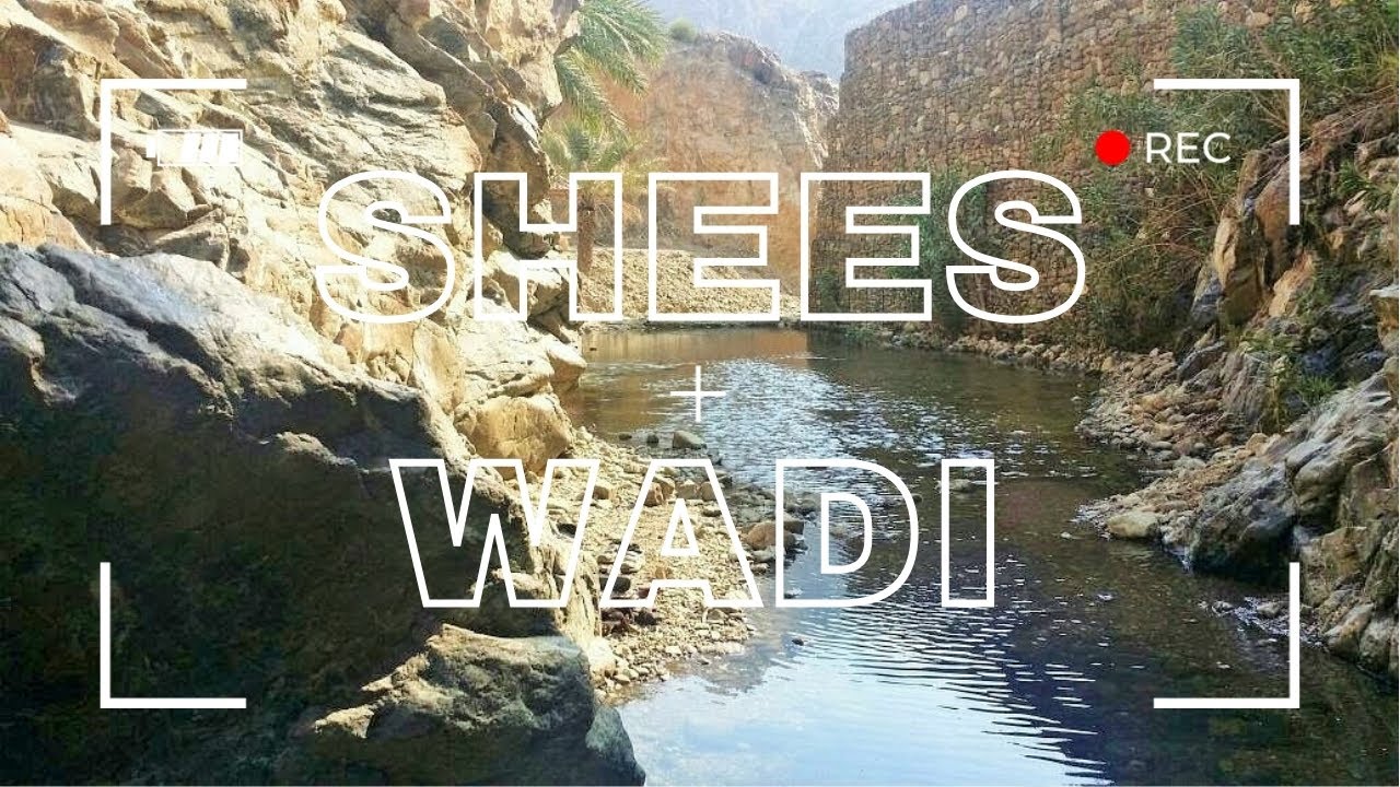 Shees park Shees Wadi #wadi #UAEWADI - YouTube
