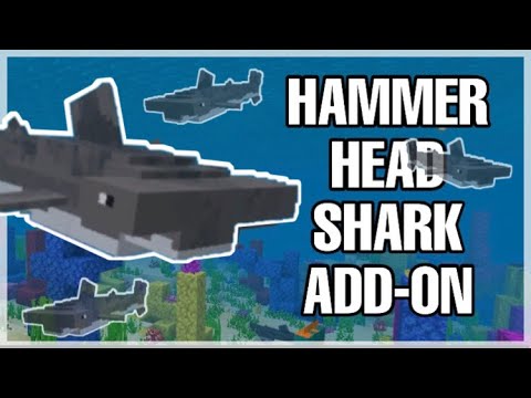 HammerHead Shark Add-on | Minecraft Bedrock (Add-on Showcase) - YouTube