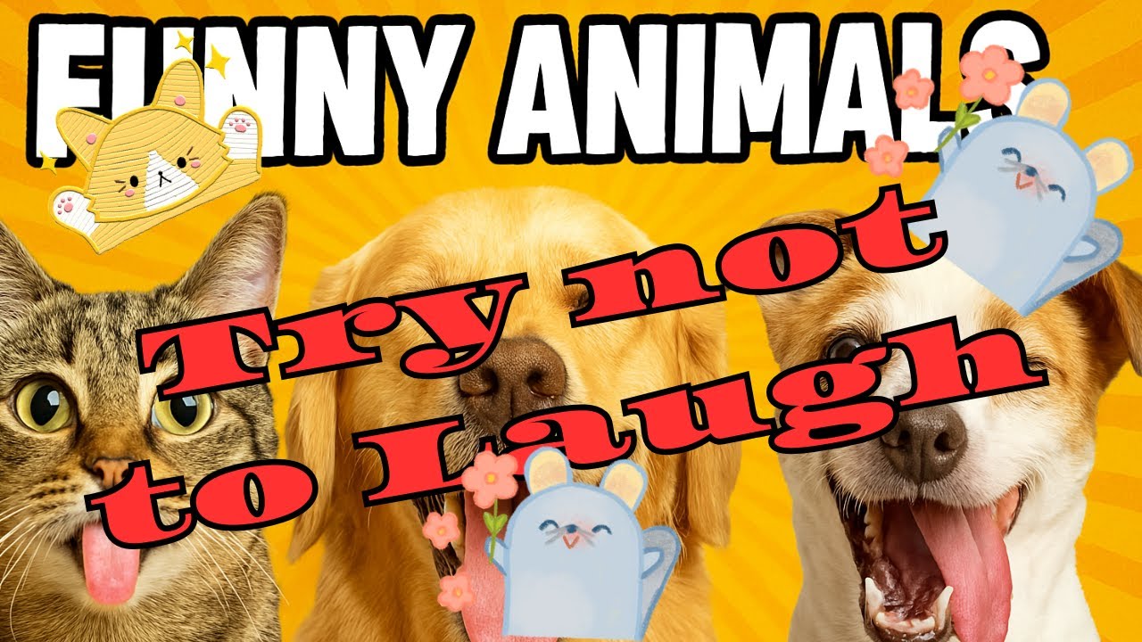 Hilarious Animals Doing Stupid Things 🤣 | Funny Pet Fails Compilation ...
