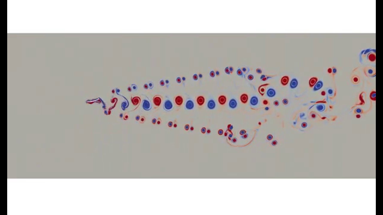 Undulatory swimmer: slow motion of von Karman vortex street - YouTube