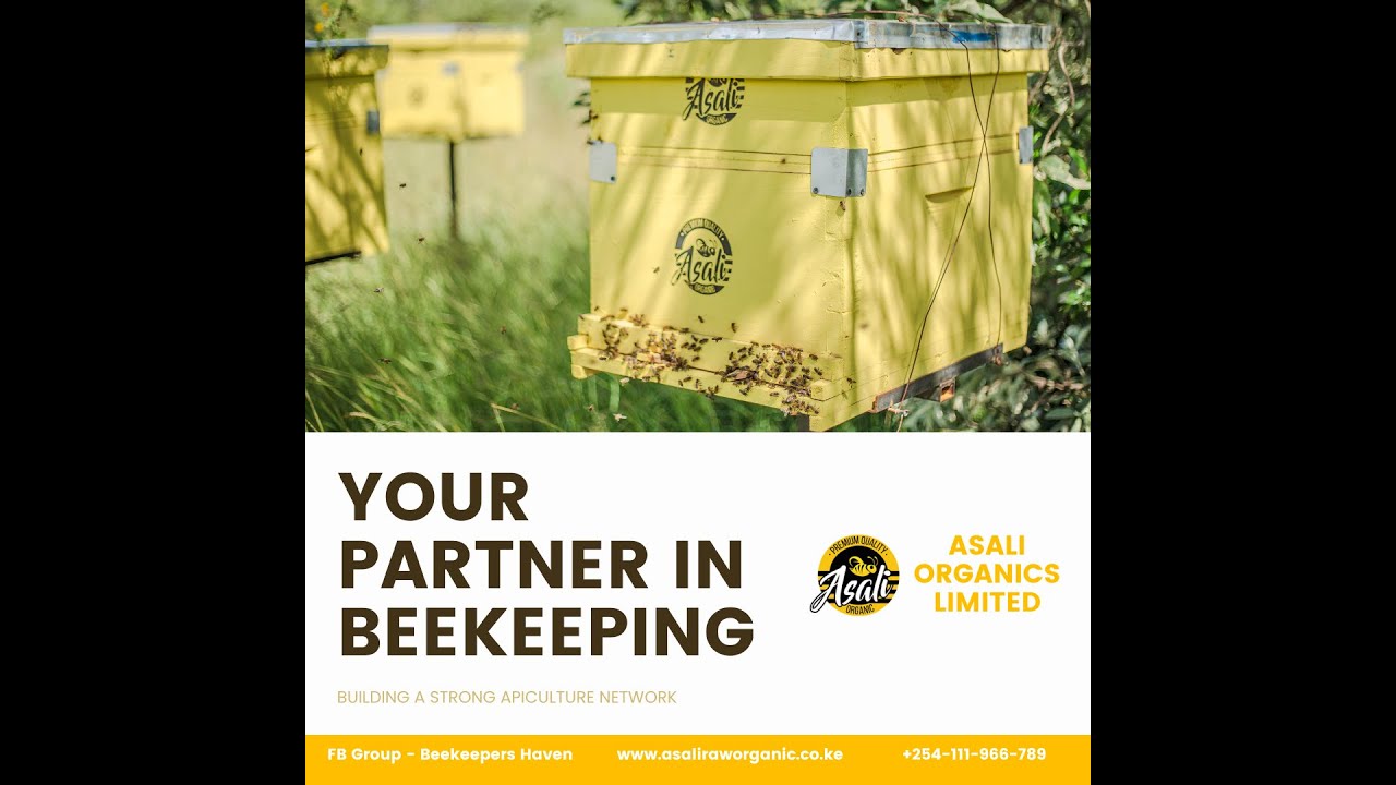 AMS WALK THROUGH - MATUU APIARY KENYA. - YouTube