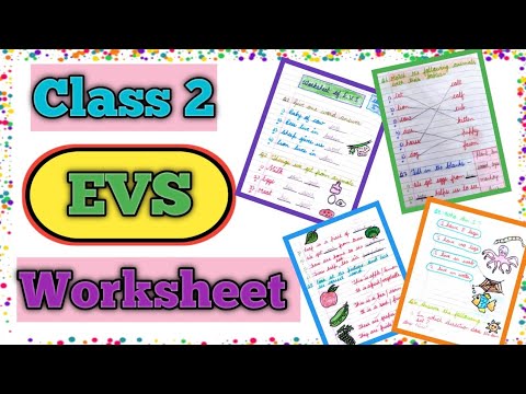 EVS WORKSHEET FOR 2ND CLASS||BASICS OF EVS LEARNING - YouTube
