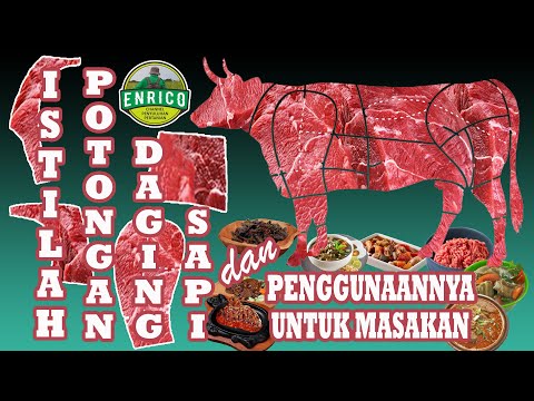 ISTILAH POTONGAN DAGING SAPI DAN PENGGUNAANNYA UNTUK MASAKAN