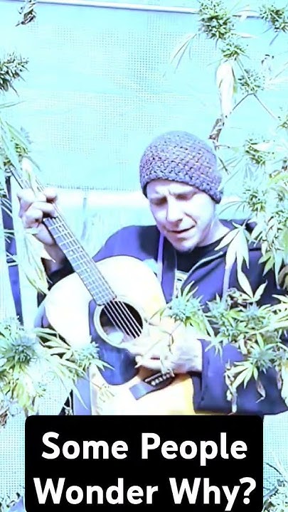 Some People Wonder Why? - YouTube