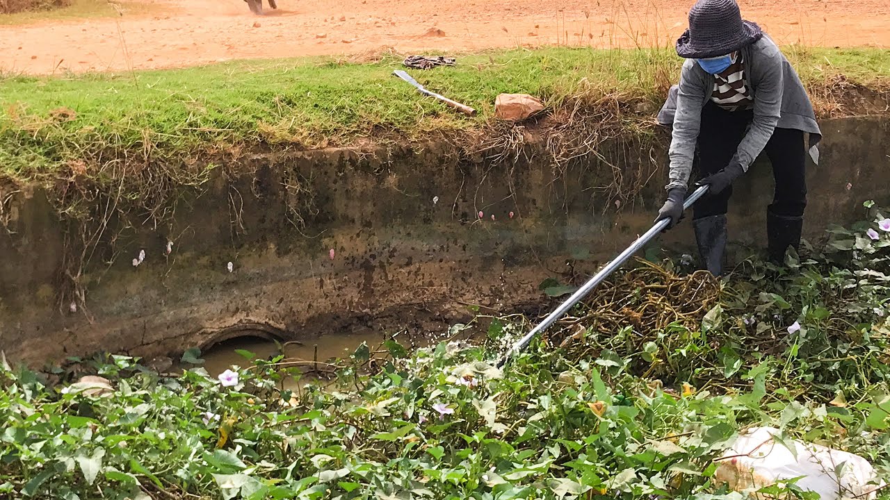 Clogged Culvert Drain In Canal And Removal Weed Grow - YouTube