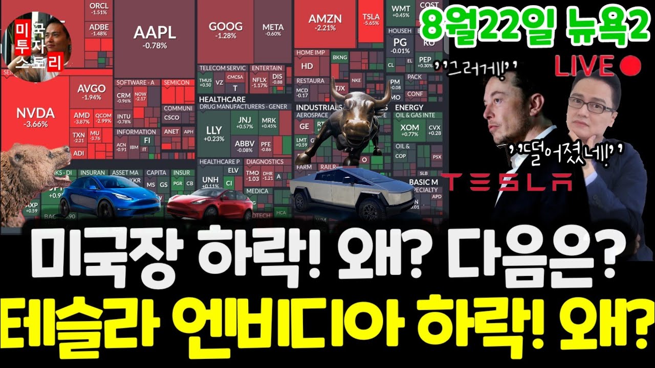 미국주식시황오늘 왜 떨어졌나 테슬라 엔비디아는 왜 떨어졌나 구글 애플 아마존 메타 마이크로소프트 팔란티어 아이온큐 Smci