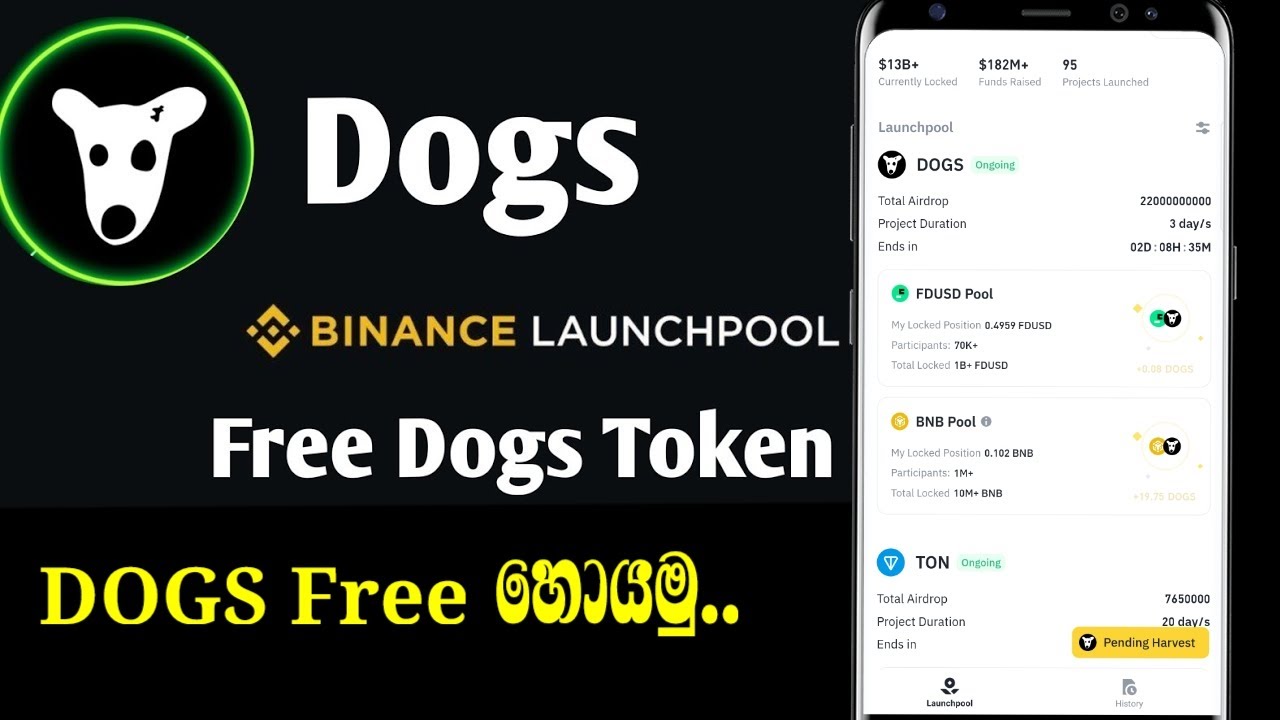 Dogs Binance Launchpool | Get free dogs coin | Claim $DOGS on Binance ...