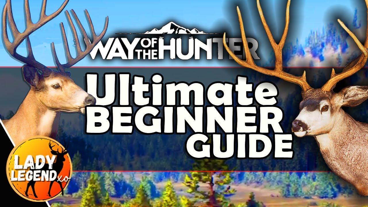 Way of the Hunter ULTIMATE BEGINNER'S GUIDE!!! - YouTube