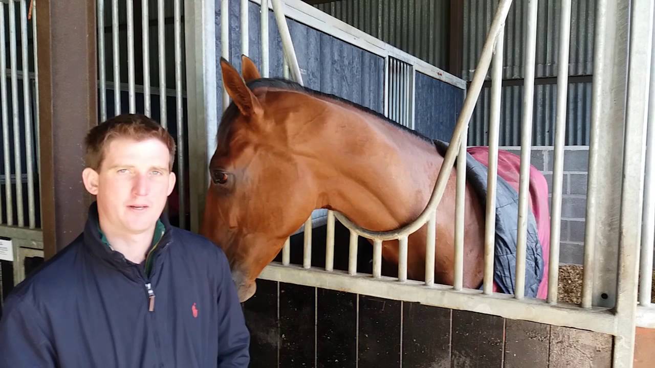Coming up: Neil Mulholland Stable Tour - YouTube