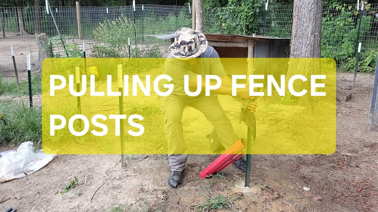 Pulling up fence posts - YouTube