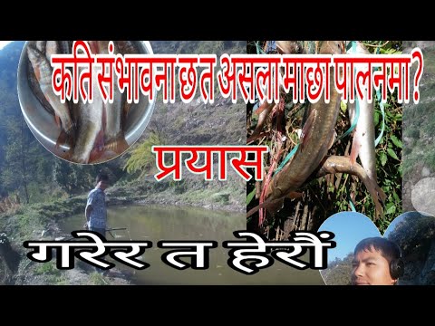 Asala machha palan|| असला माछf //small business practice - YouTube