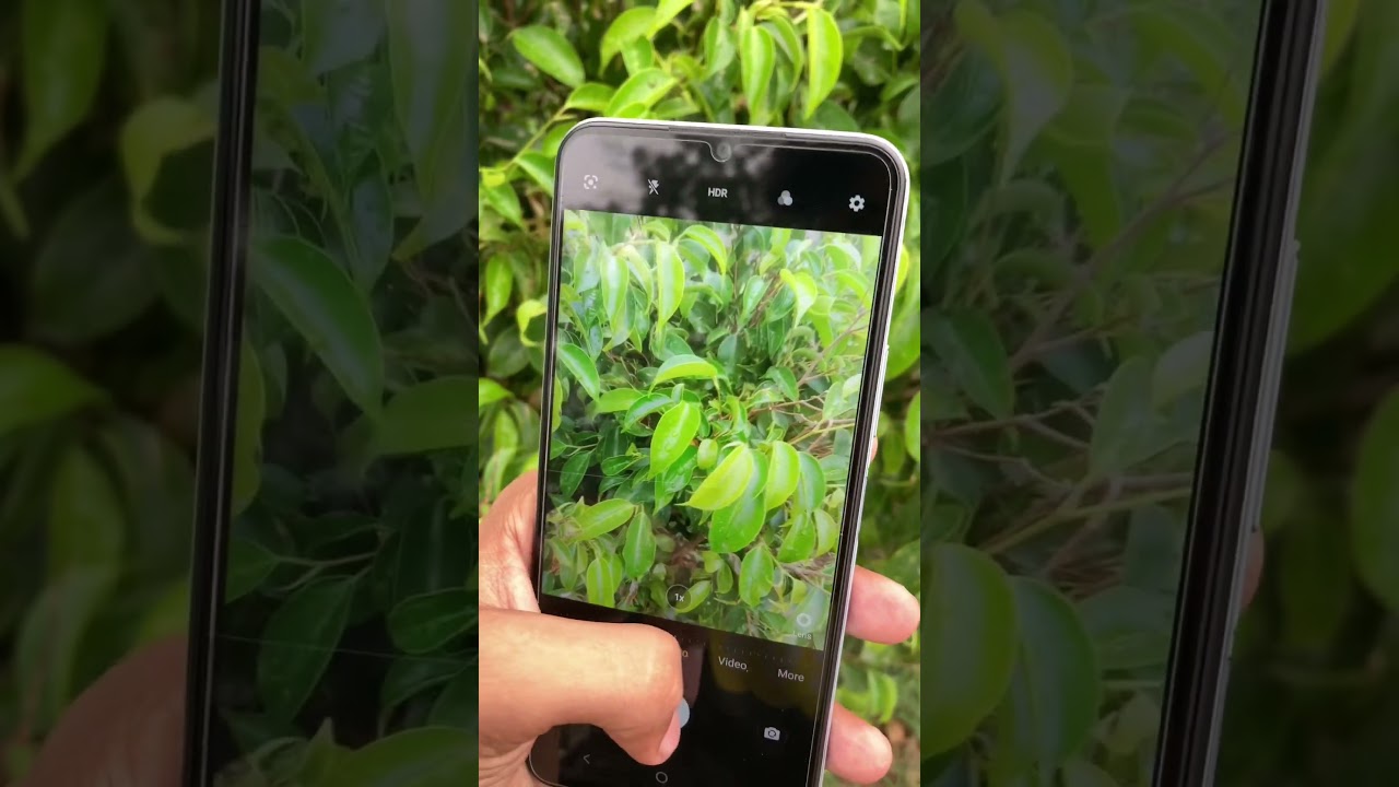 vivo y 21 camera test